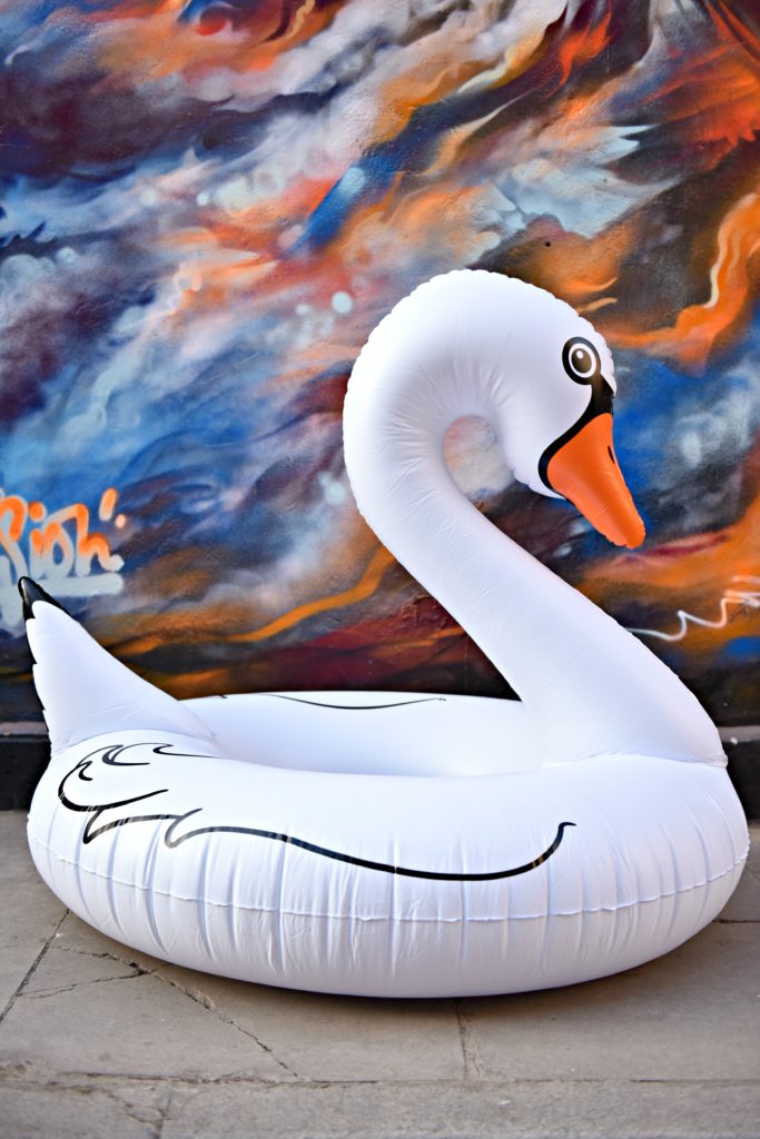 ana giant inflatable swan float prezzybox - Faded Spring