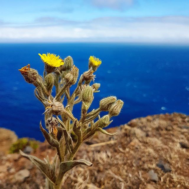 20633674_109600643041350_8966428577604042752_n - Faded Spring