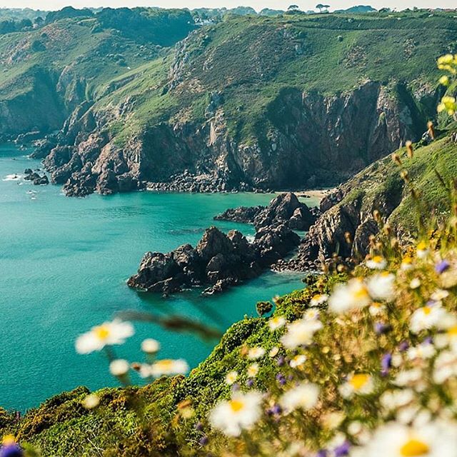 32379324_2010744742497174_1036119293466509312_n - Faded Spring