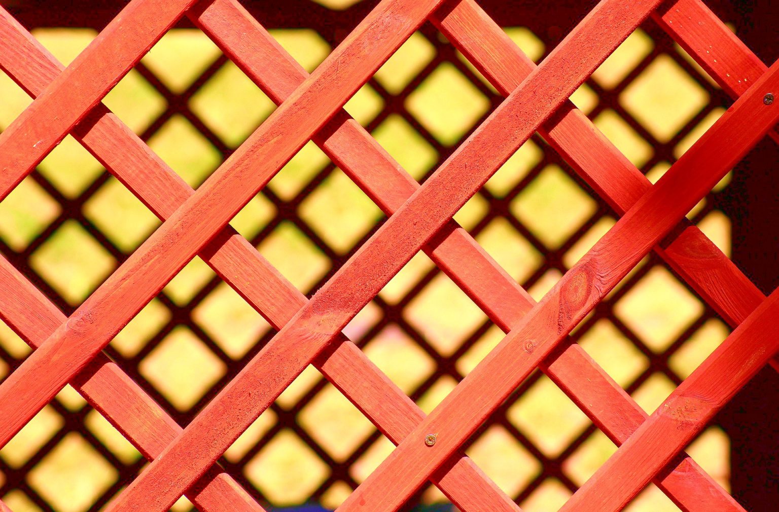 red criss cross trellis - Faded Spring