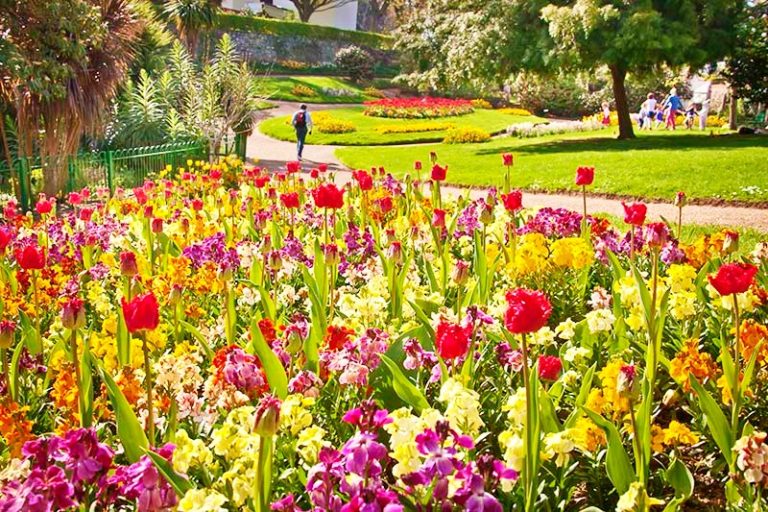 Romantic Things To Do In Guernsey For Couples - Faded Spring