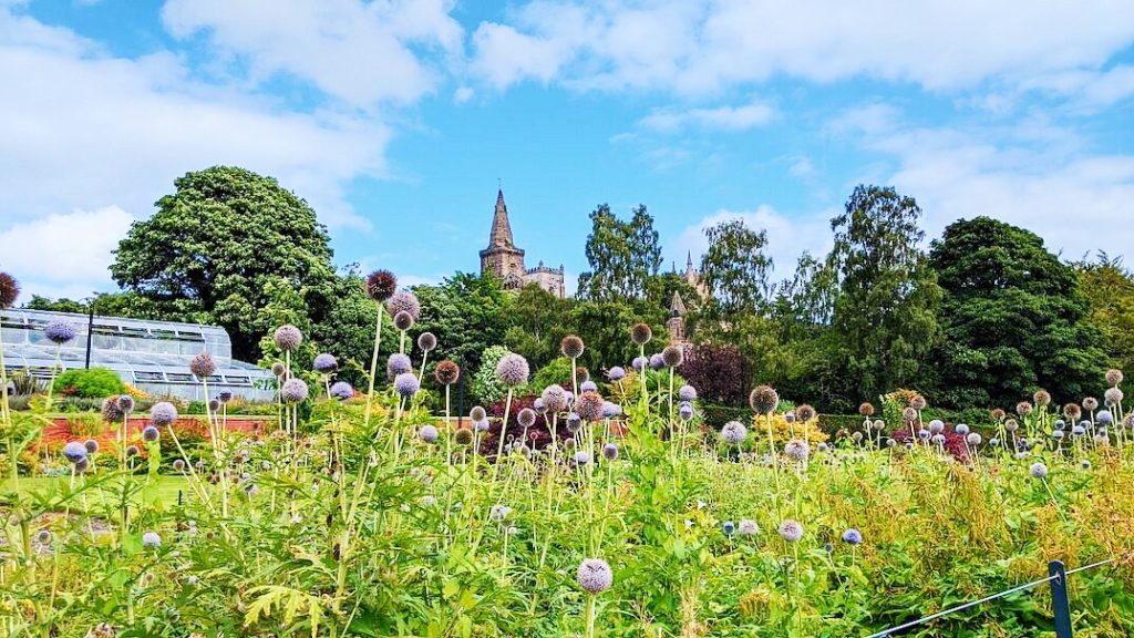 Fun Things To Do In Fife Scotland On A Date - Faded Spring