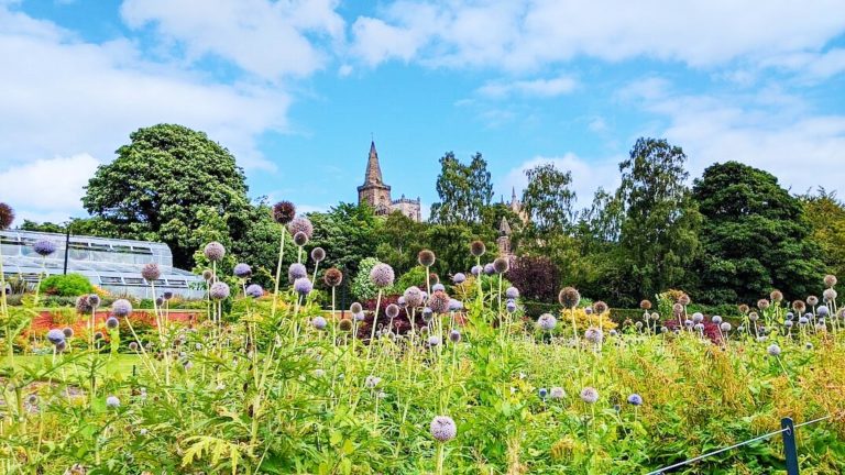 Fun Things To Do In Fife Scotland On A Date - Faded Spring