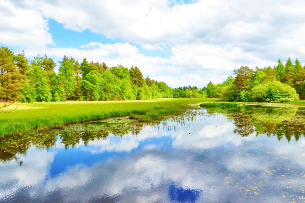 Fun Things To Do In Fife Scotland On A Date - Faded Spring