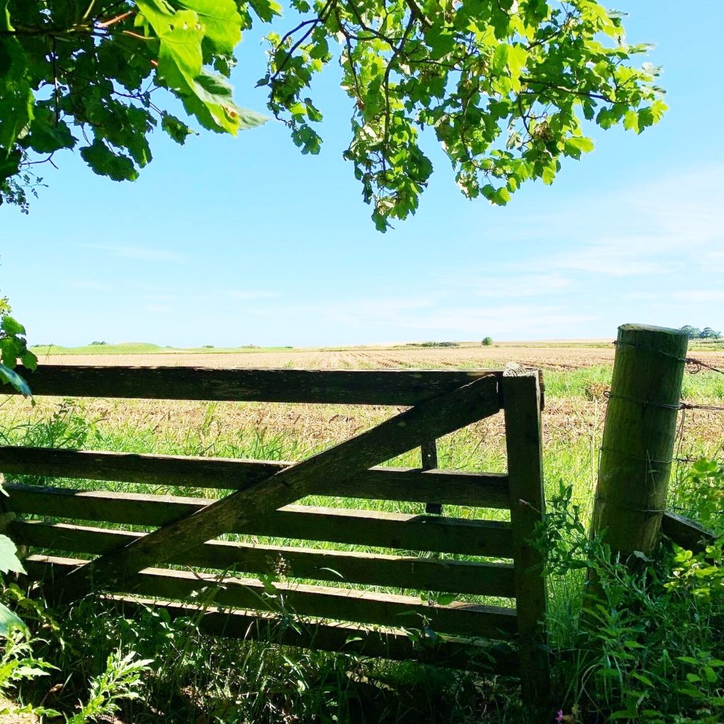 Fun Things To Do In Fife Scotland On A Date - Faded Spring